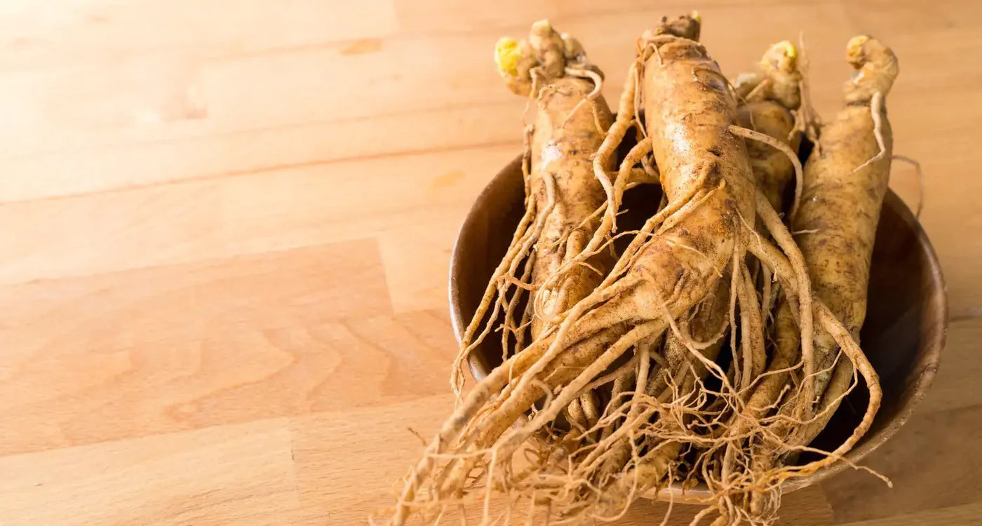 Effect of ginseng on women's health and the gut